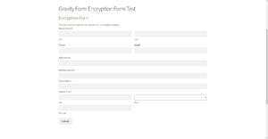 Gravity Forms Encryption - CrossPeak