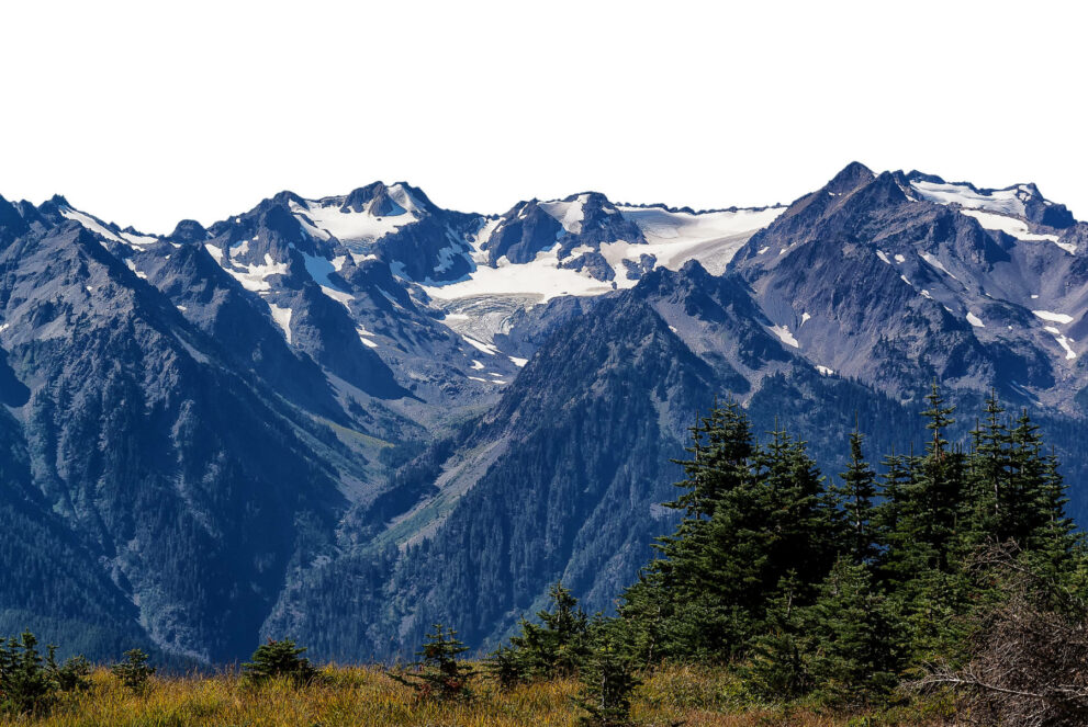 WordPress Plugins You'll Actually Love | About CrossPeak